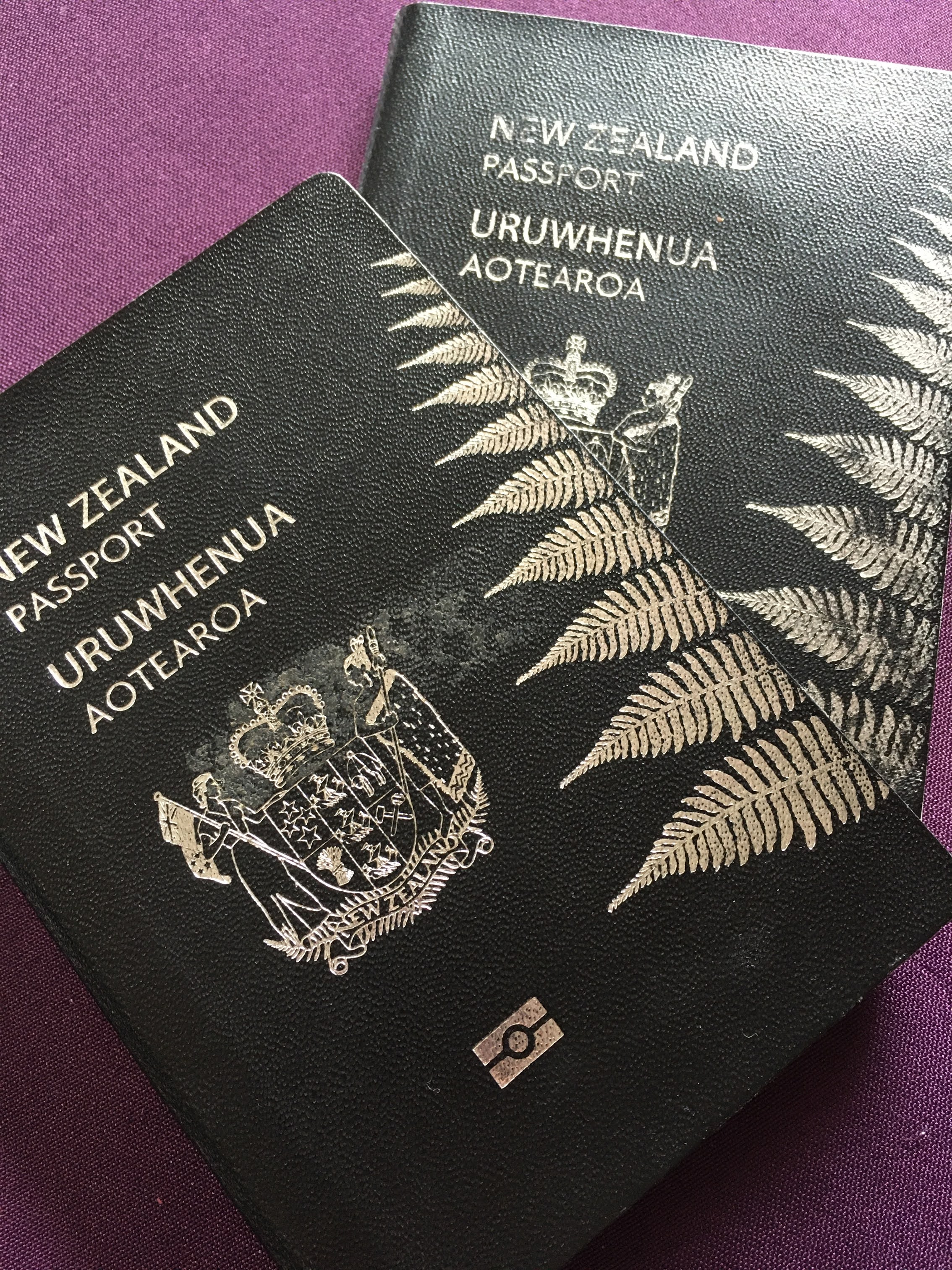 Made it Back to NZ – Kiwis Do Fly